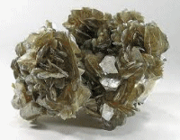 Muscovite