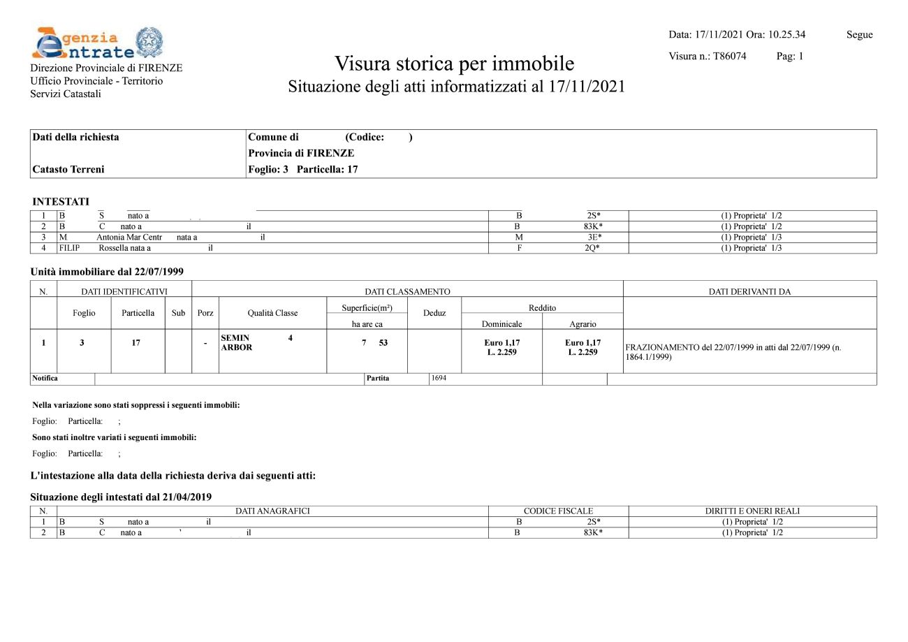 Visura catastale analitica o sintetica?