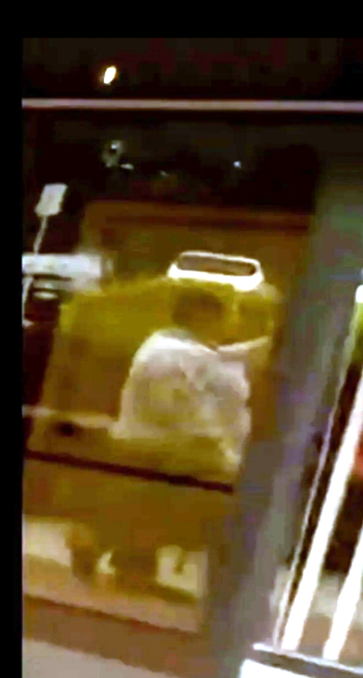 New England’s No Neck Fat Hunchback Hump Pt. 18 - page 7