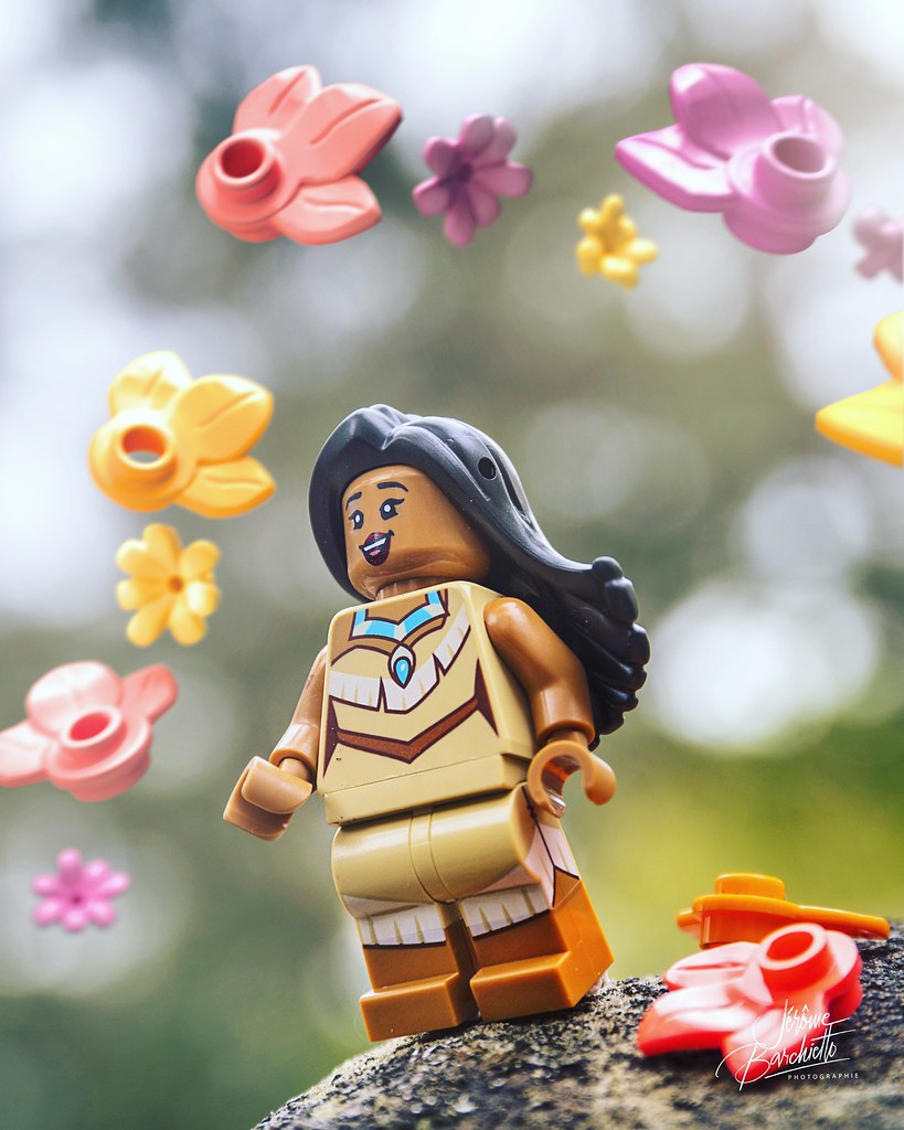Legography e rendering dal web - page 160
