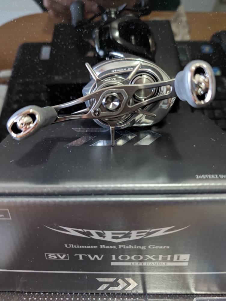 Daiwa STEEZ SV TW 100XHL