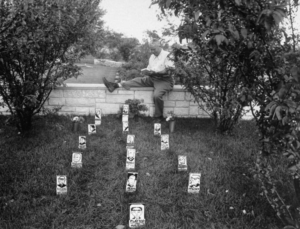 Foto dalla rete - page 119