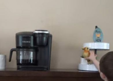 Moss Family videos are lame, Everyday is the same, Fallon can’t cook or ...