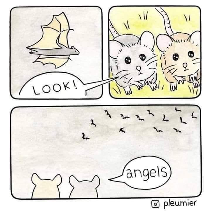 La stanza delle risate - page 7