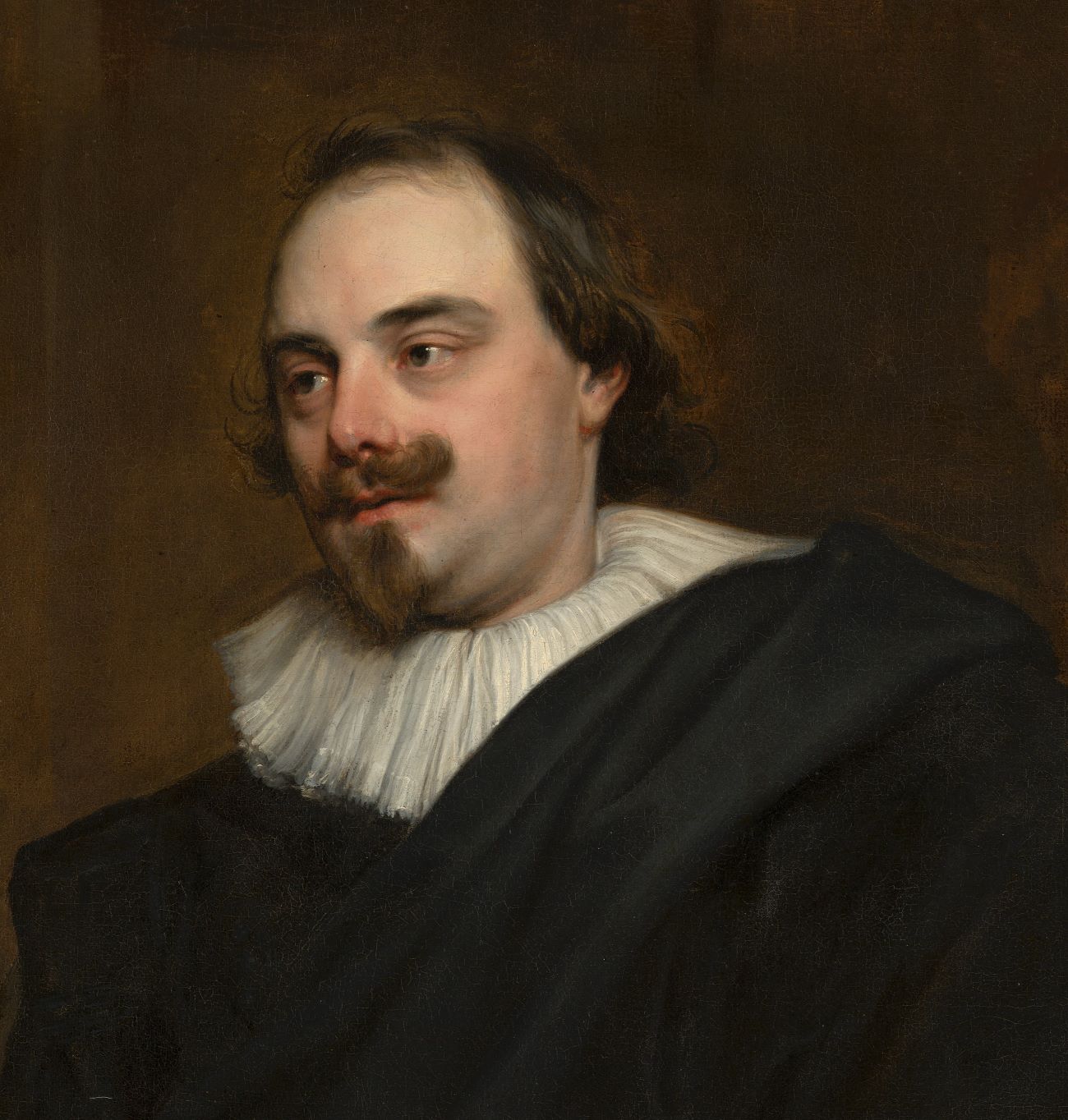 Anthony van Dyck - Ritratto di Peeter Stevens