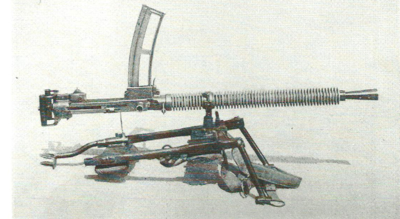 Reparto della MVSN nel 1929 (anno VII)