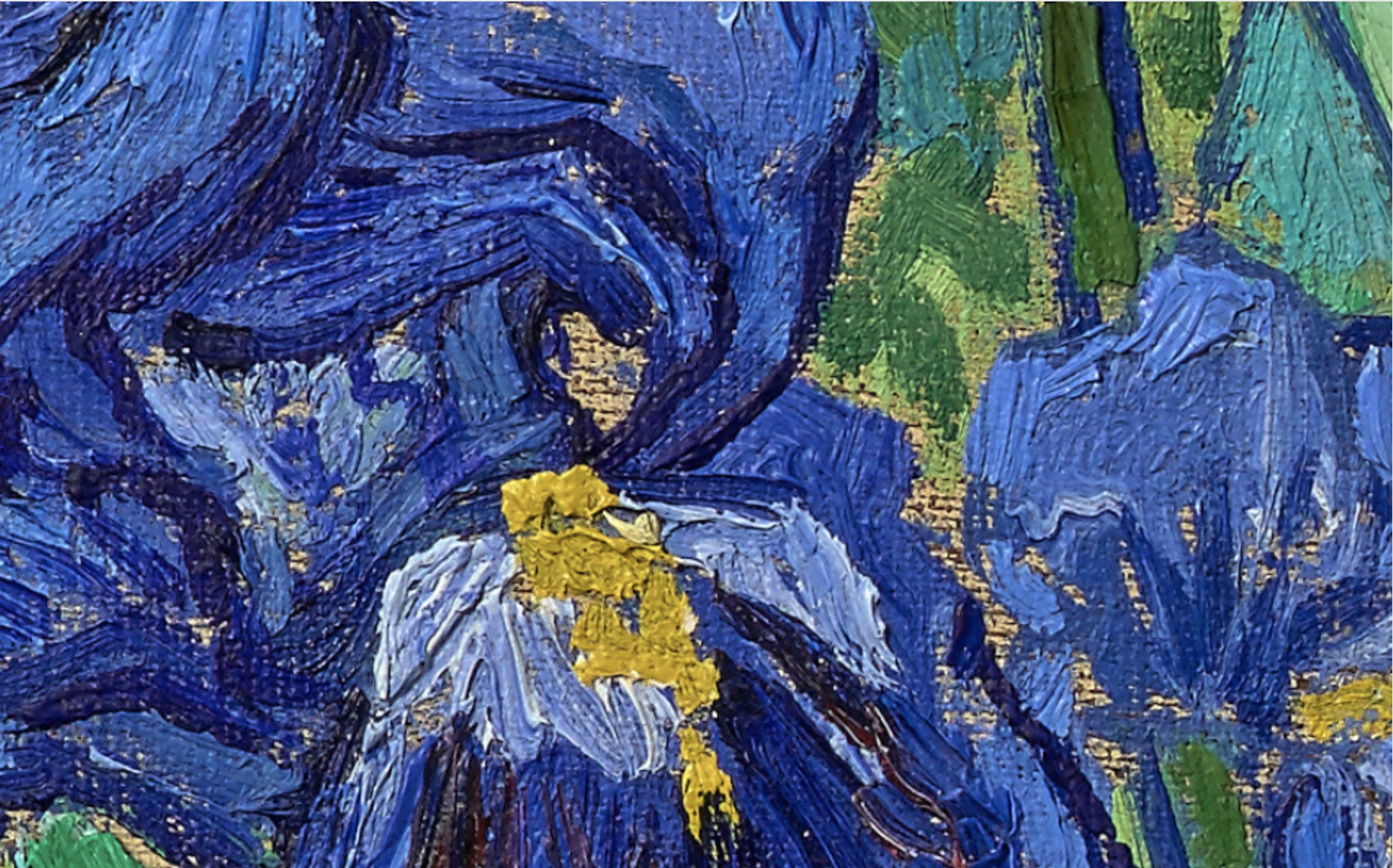 Dietro l'arte: perché "Iris" di Vincent van Gogh è una delle opere più ...