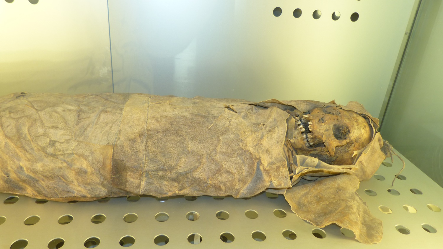 Mummie guance di Necochea: antiche mummie delle Isole Canarie (+Video)