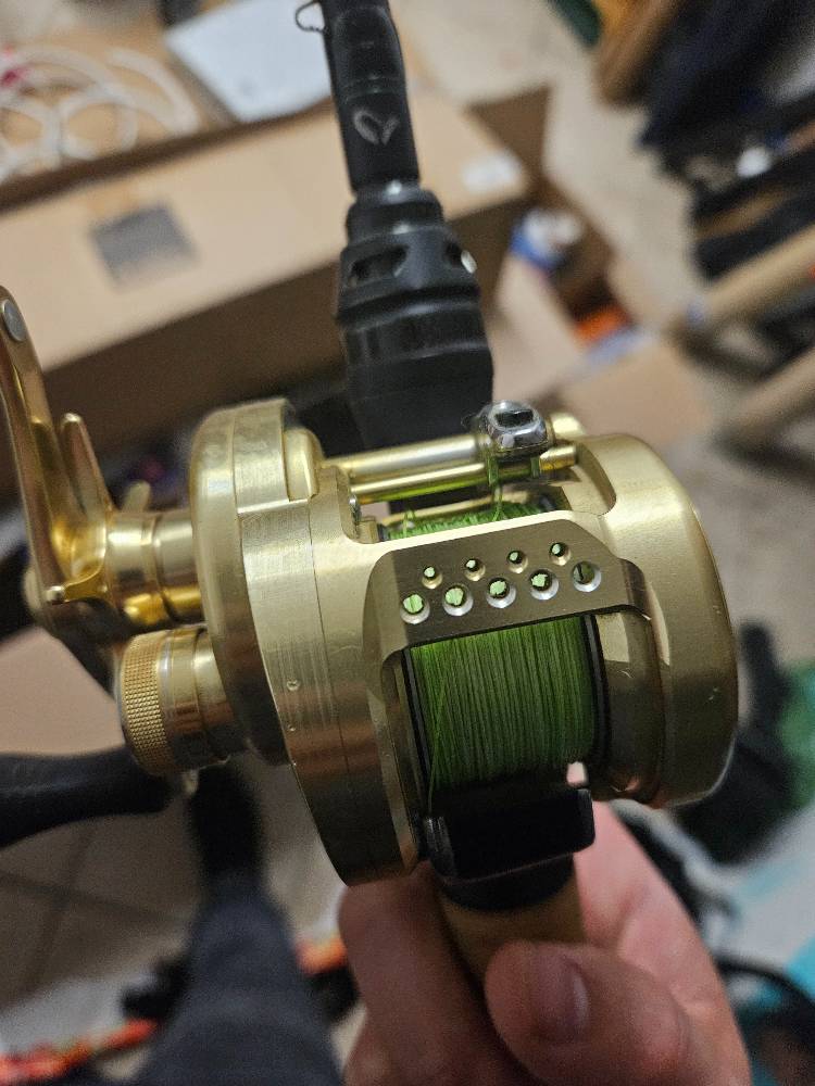 Shimano Calcutta conquest 201