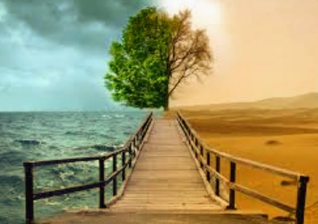 L'albero triste che cosa ci ha insegnato questa Storia???... )