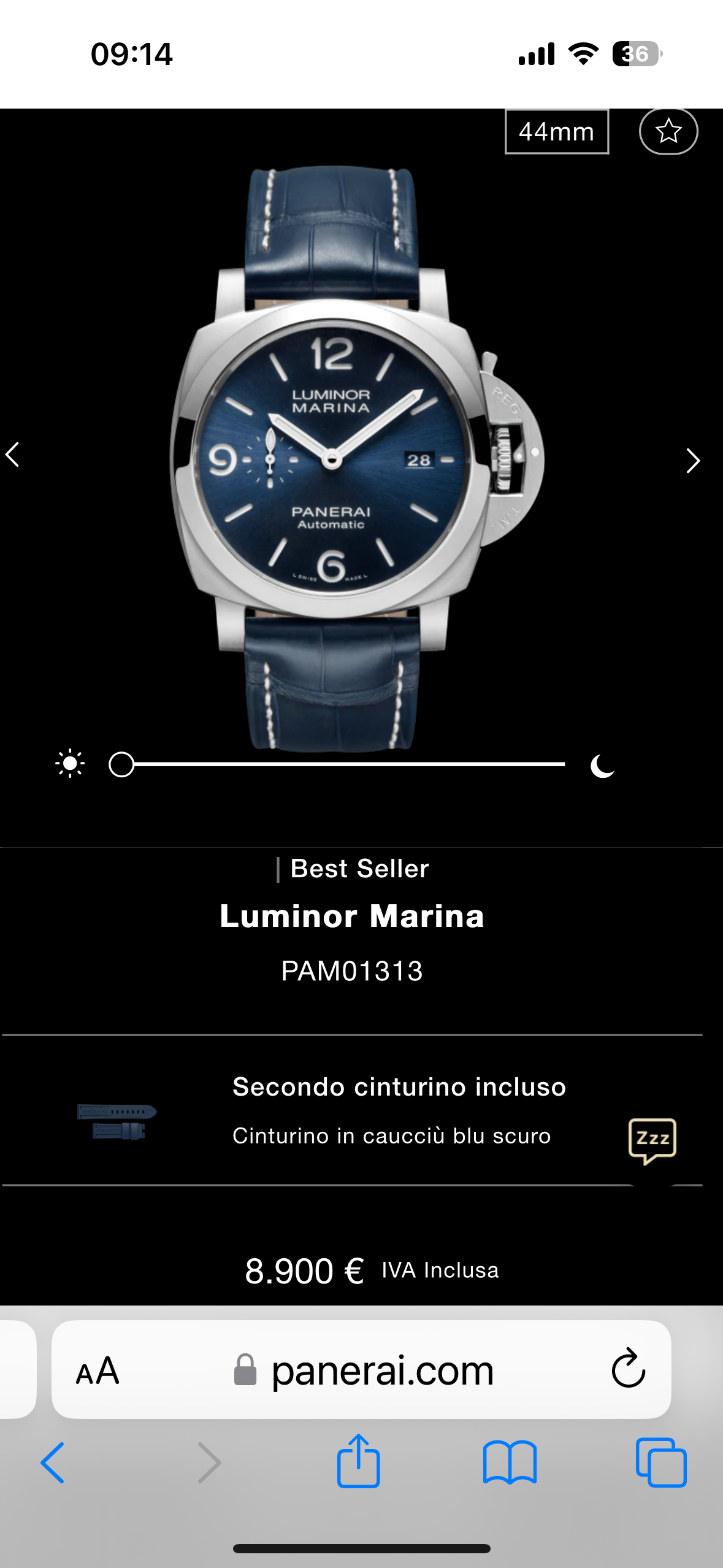 PAM 1313