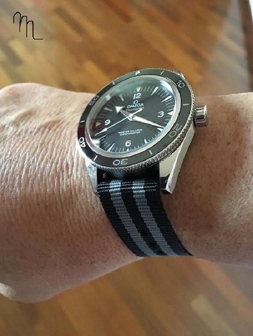 Info Omega Seamaster 300