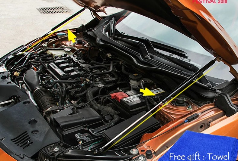 Ammortizzatori sostegno cofano motore