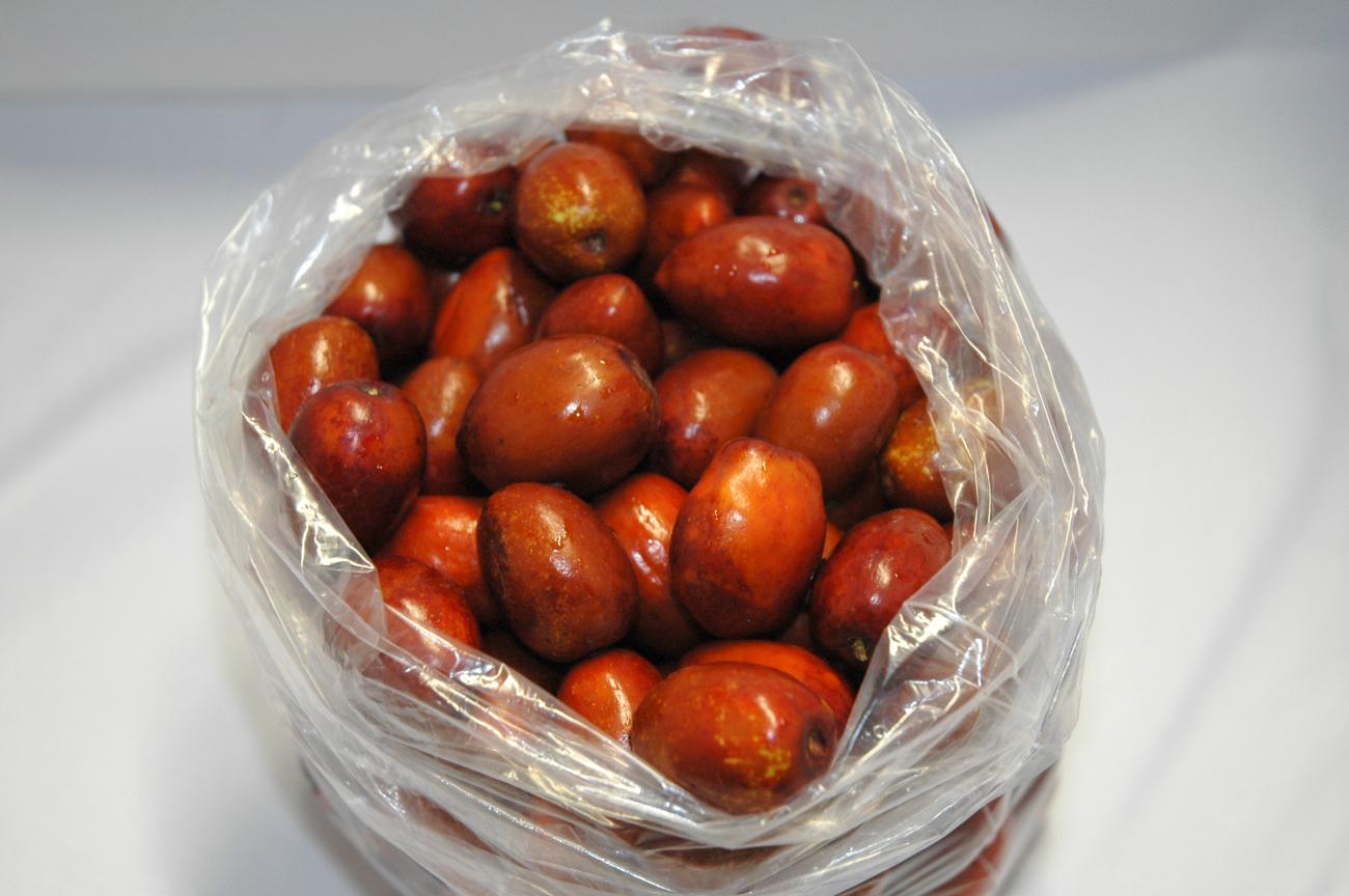 Giuggiolo - Zizyphus jujuba