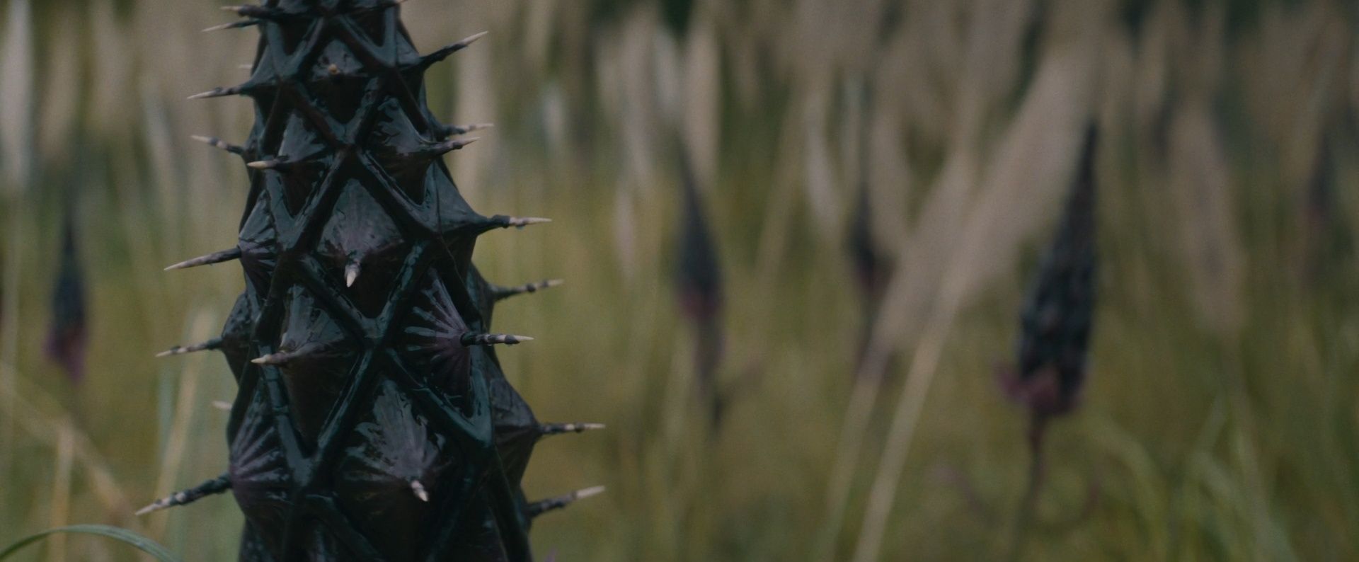 Le Creature di Predator: Badlands