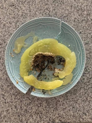 Seminario di ceromanzia: piatto rotto o vetro rotto