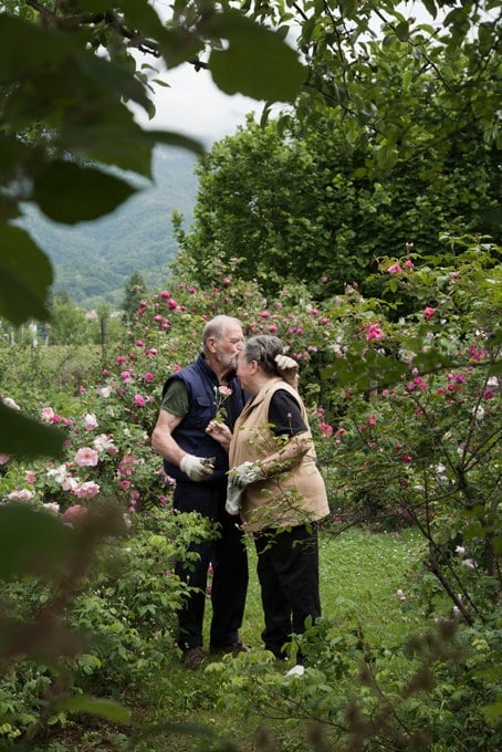 IL GIARDINO DELLE ROSE
