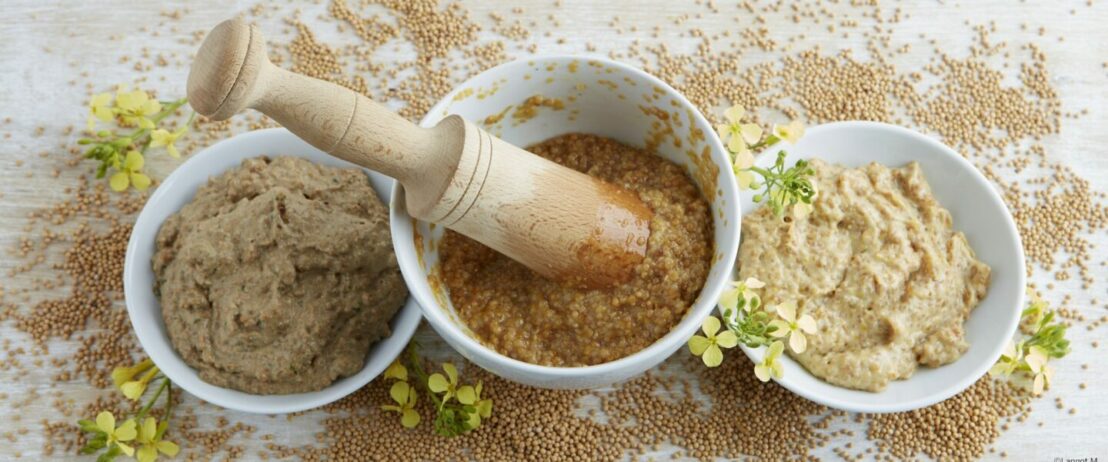 RICETTA DELLA SENAPE FATTA IN CASA