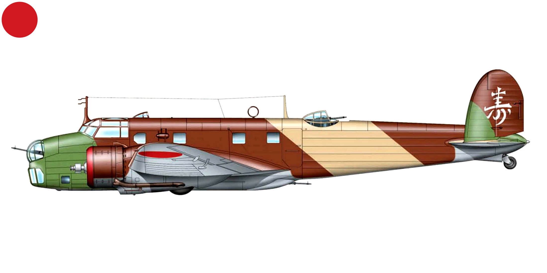 Br20 Cicogna Jap