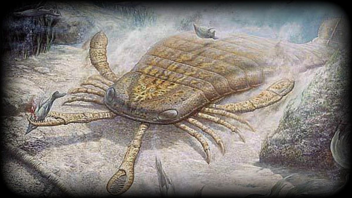 Gli euripteridi o scorpioni di mare