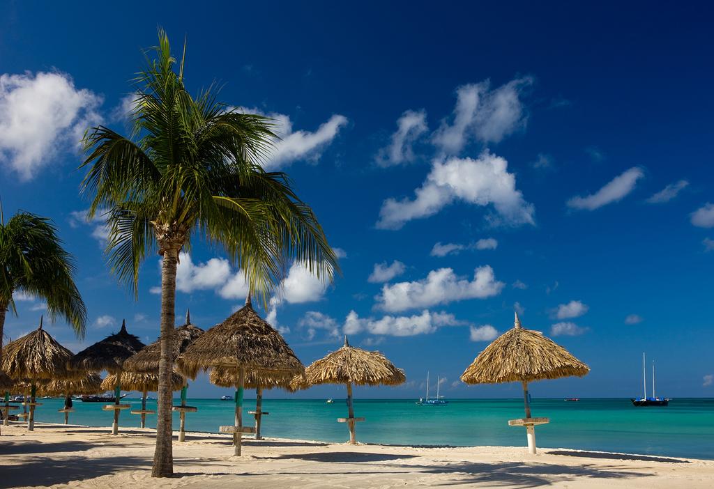 MAR DEI CARAIBI: L'INCANTO DELL'ISOLA DI ARUBA