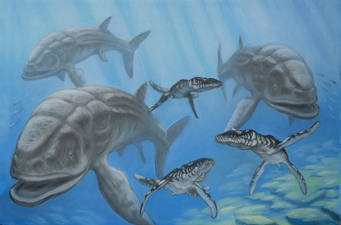 Il Leedsichthys problematicus, un gigantesco pesce che visse negli ...