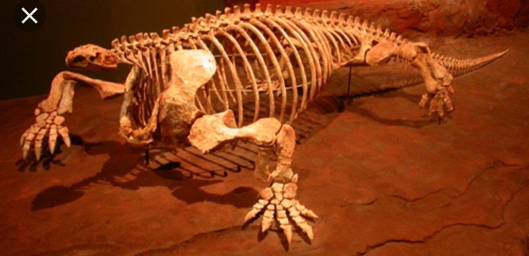 L'alierasauro (Alierasaurus ronchii), una creatura strana del periodo ...