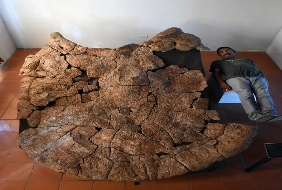 LA STUPENDEMYS, UNA TARTARUGA GIGANTE DELL'ERA DEL PLIOCENE DI 3000 ANNI FA