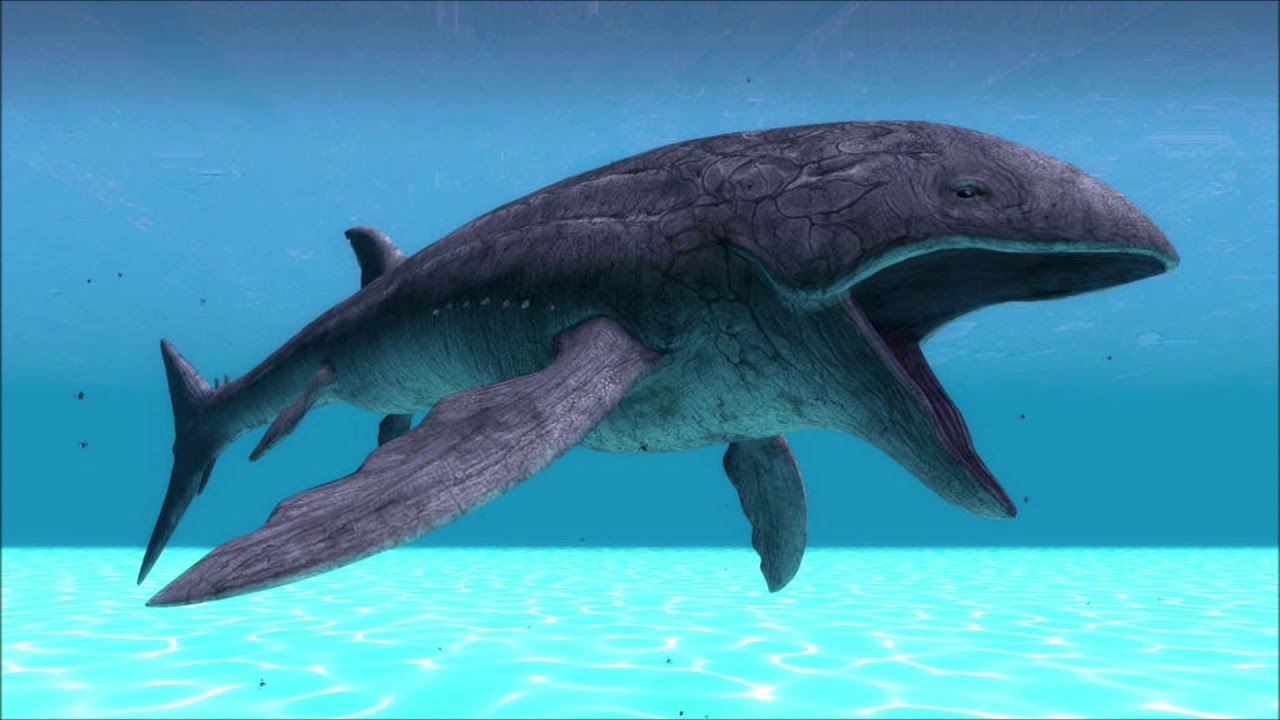 Il Leedsichthys problematicus, un gigantesco pesce che visse negli ...