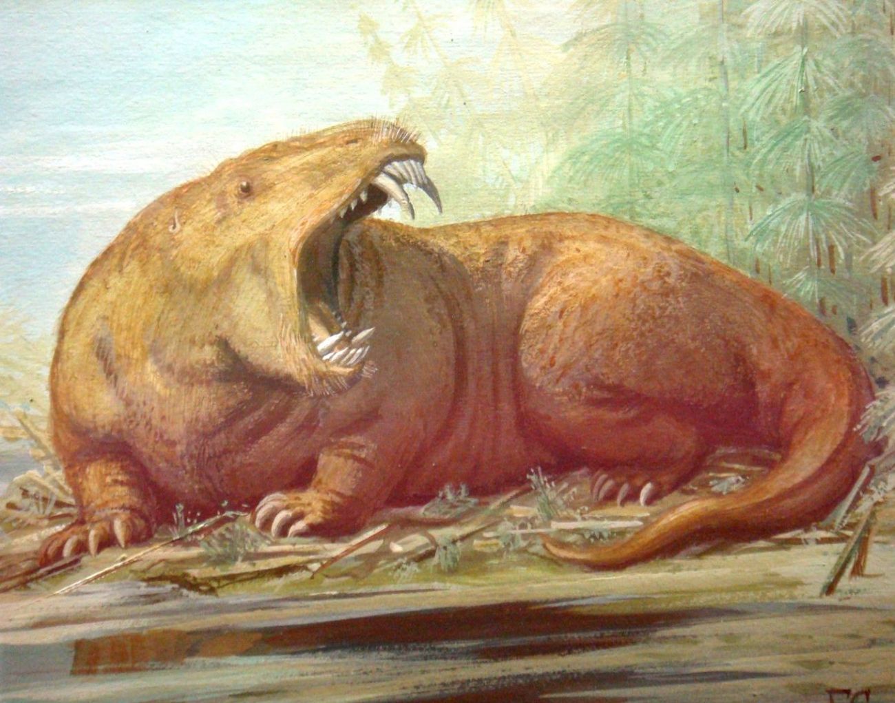 Il deuterosauro, animale estinto del Permiano medio