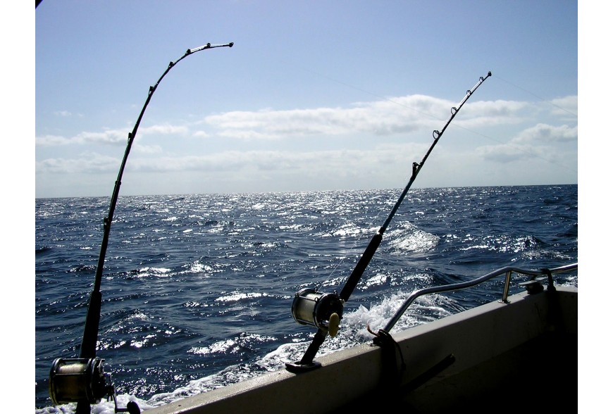 NOVEMBRE MESE IDEALE PER LA PESCA A TRAINA(i pesci da pescare)