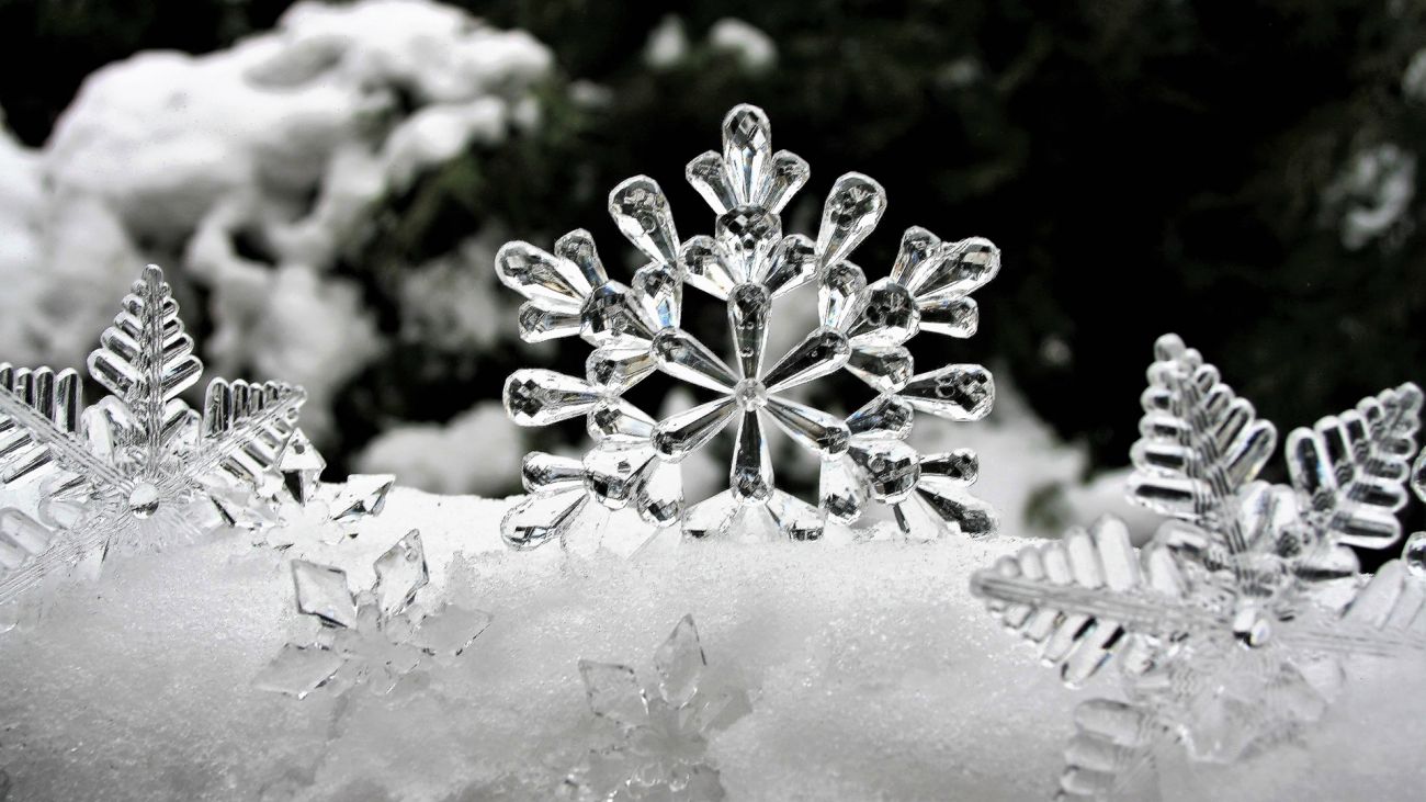 15 Gennaio - Giornata Mondiale della Neve per celebrare la sua bellezza ...