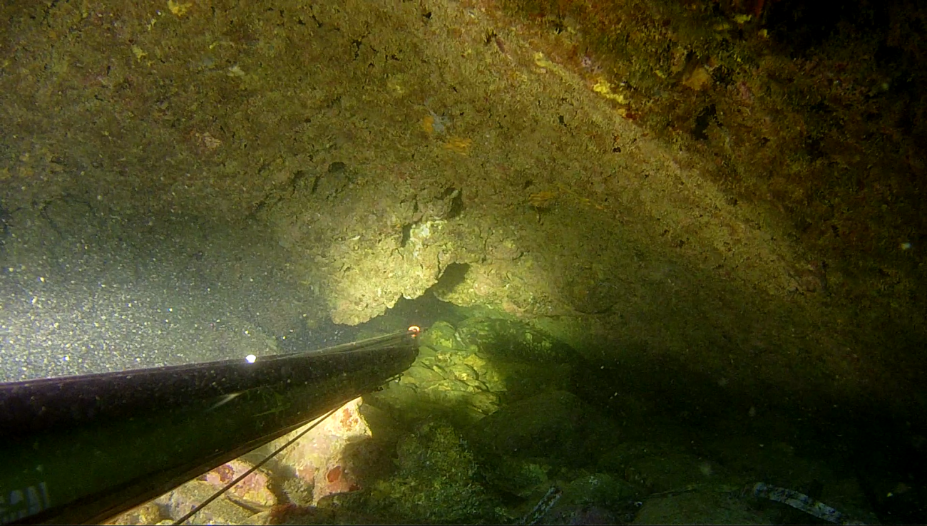 Nuova Torcia Led Salvimar GALACTIKA