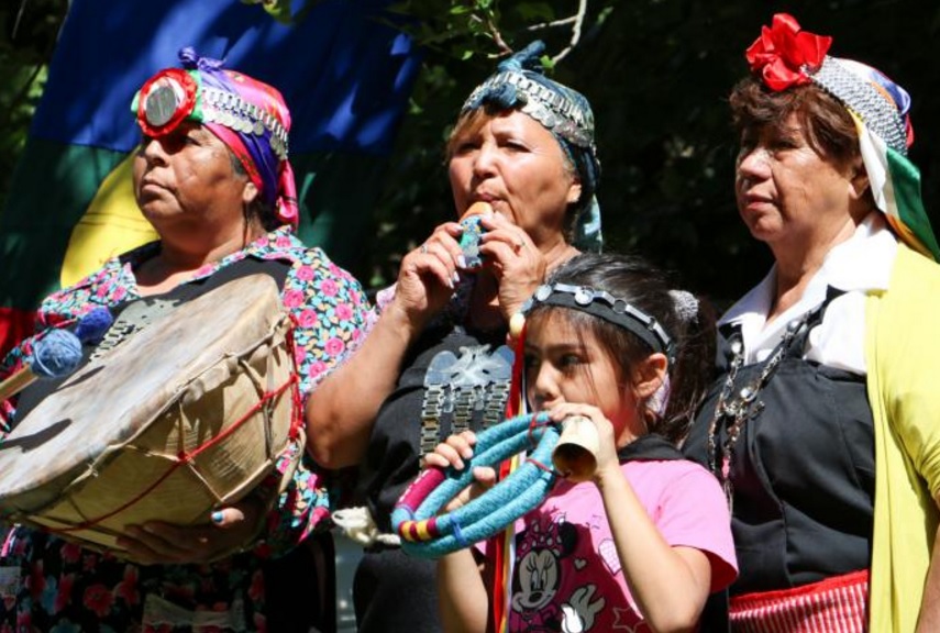Mapuche