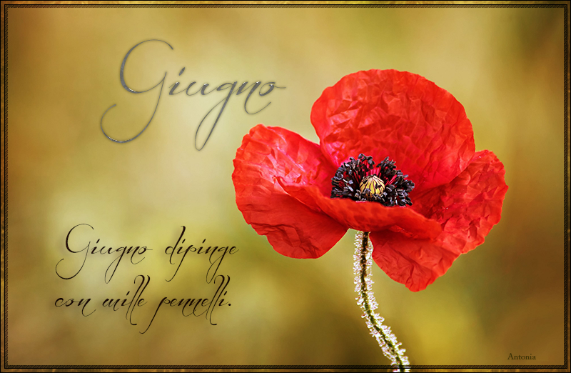 SALUTI MESE DI GIUGNO 2021