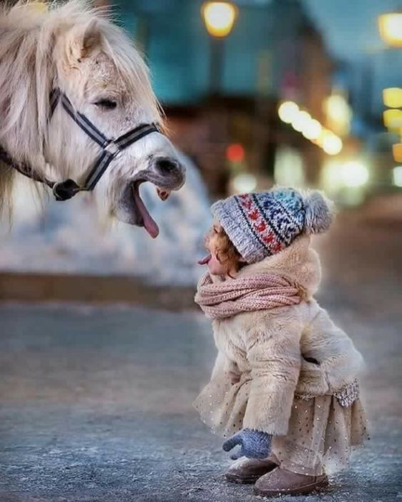 FOTO SIMPATICHE DEI NOSTRI AMICIA 4 ZAMPE