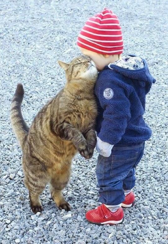 FOTO SIMPATICHE DEI NOSTRI AMICIA 4 ZAMPE