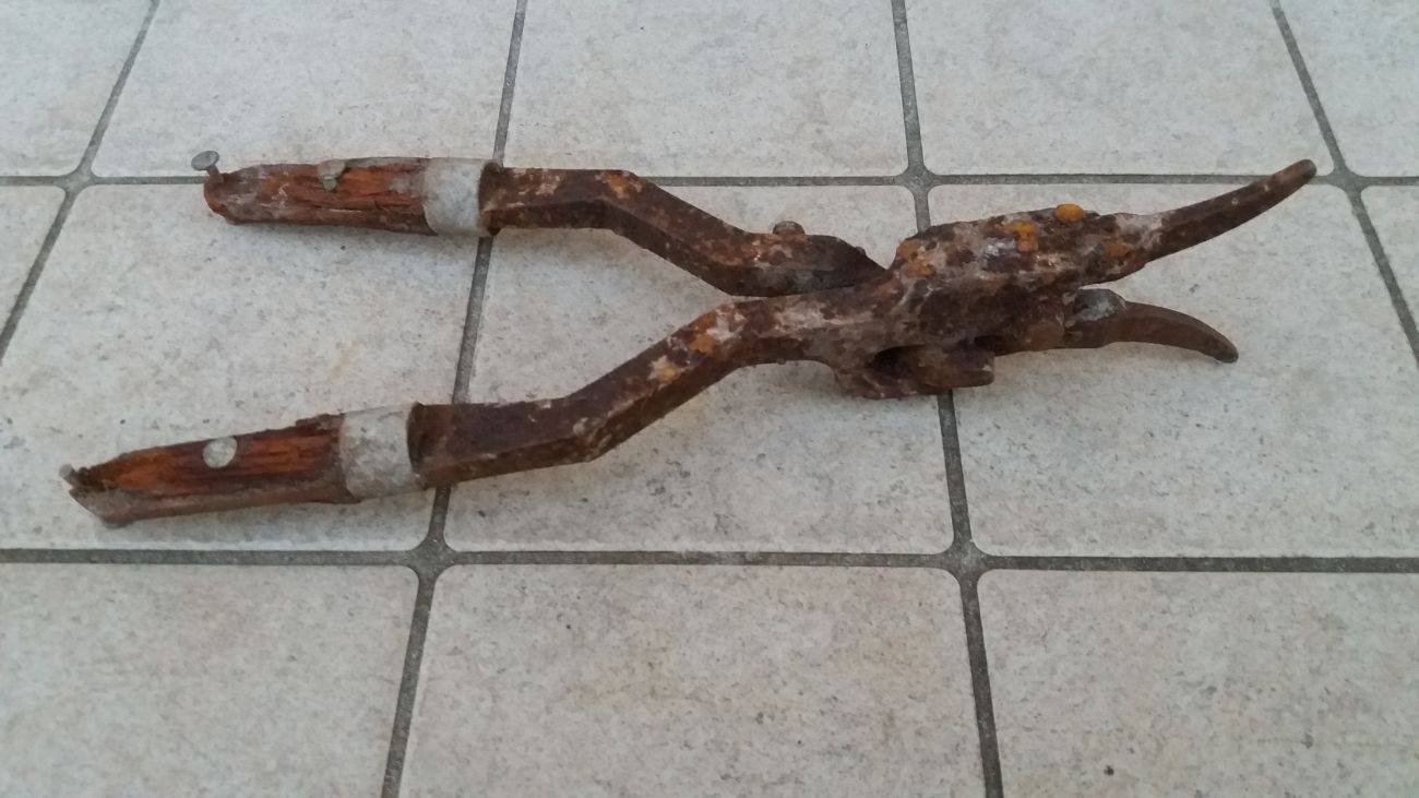 Pinza Traversa