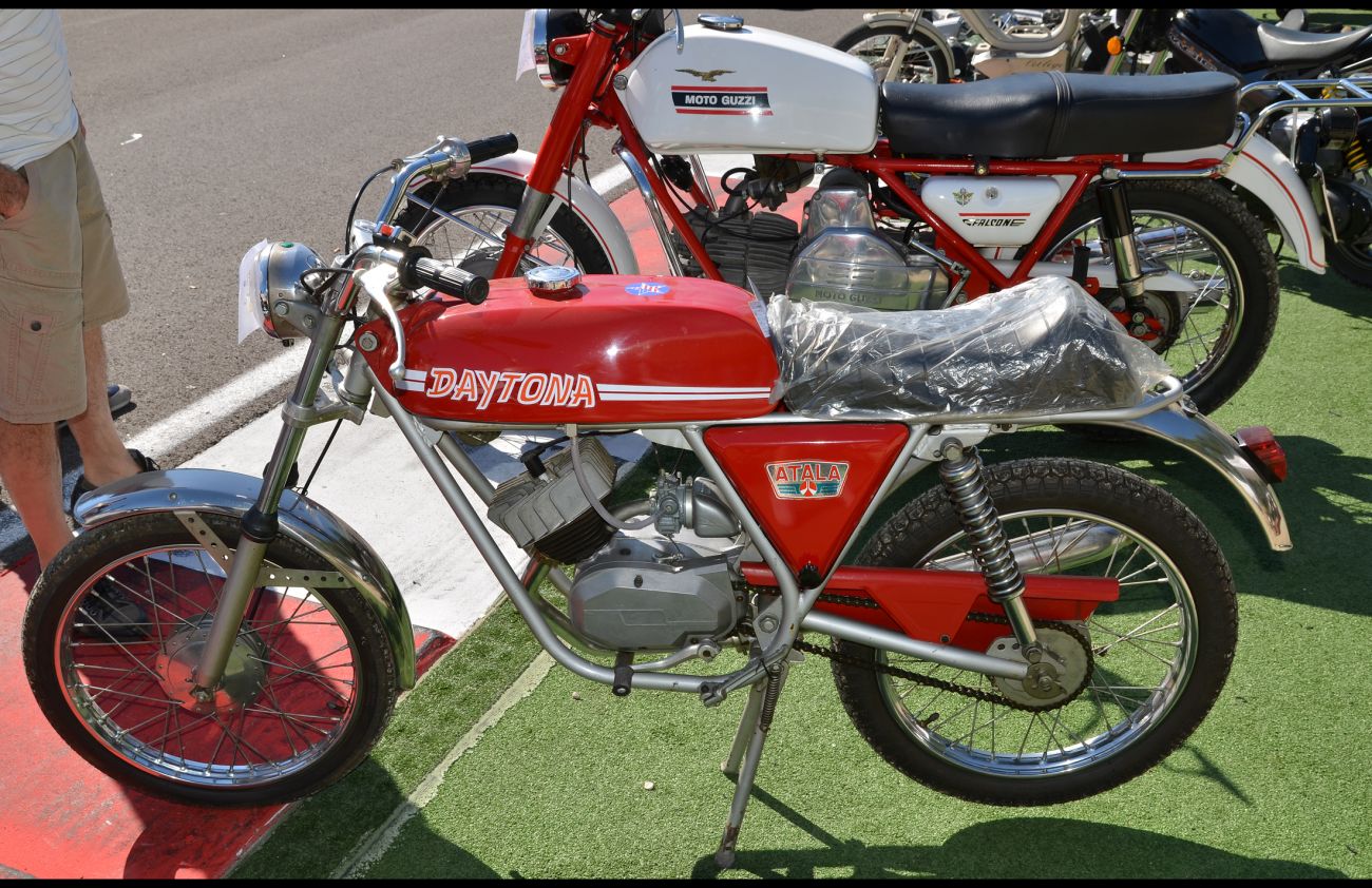 Colorazione Atala Rizzato Daytona