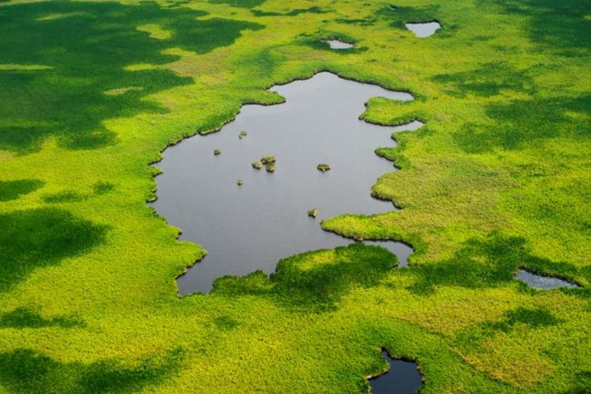 IL SUDD, LA PIÙ VASTA REGIONE PALUDOSA DEL MONDO