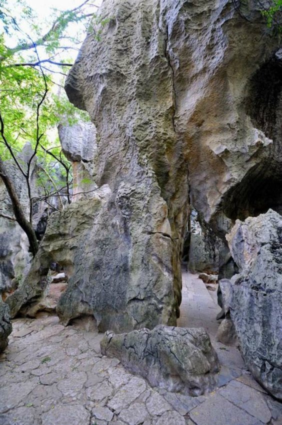 CINA: LA MAESTOSA FORESTA DI PIETRA O SHILIN