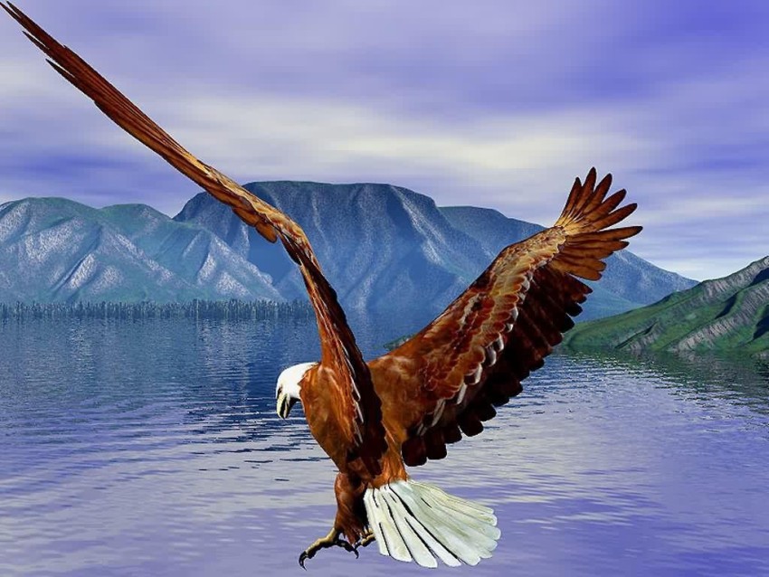 SOGNARE UN AQUILA: COSA SIGNIFICA, CABALA E I NUMERI DA GIOCARE