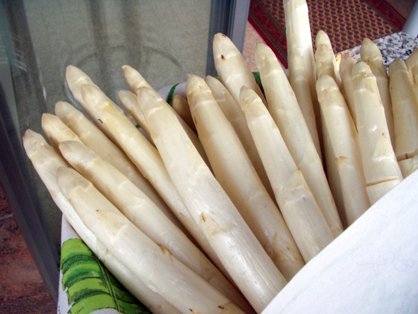 L'ASPARAGO O ASPARAGIO: PROPRIETA' NUTRITIVE E CONSIGLI SUL CONSUMO