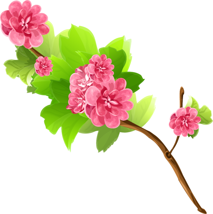 PRIMAVERA: FIORI E TUBES PER LA GRAFICA, MATERIALE PER PSP E PS, [VASTA ...