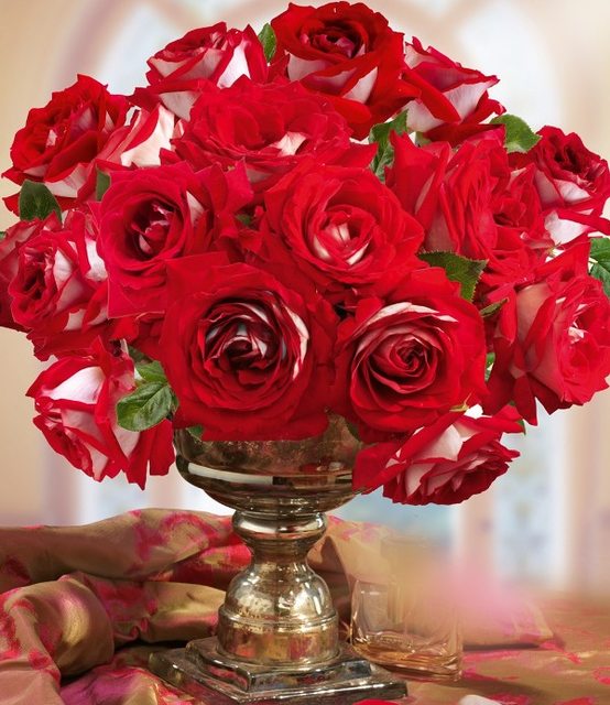 LE ROSE PIU' BELLE E PROFUMATE DEL MONDO (FOTO)