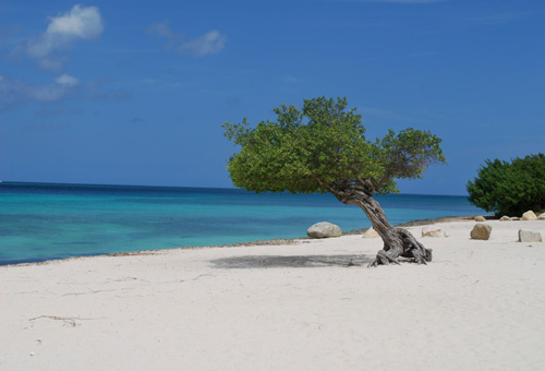 Dal mare dei Caraibi ad Aruba: un giro tra le spiagge più belle del Mondo