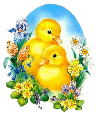 GIF E CARTOLINE PASQUALI