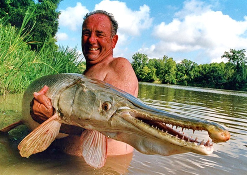 IL LUCCIO ALLIGATORE, ATRACTOSTEUS SPATULA