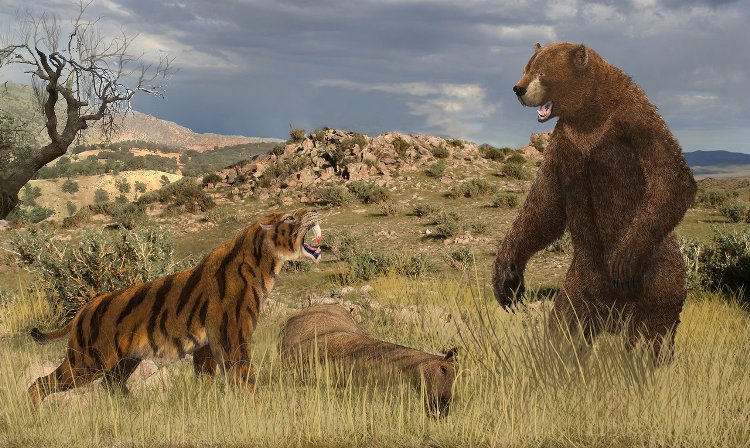 PREISTORIA: L'ORSO GIGANTE AMERICANO O ORSO CORRIDORE
