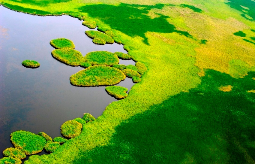 IL SUDD, LA PIÙ VASTA REGIONE PALUDOSA DEL MONDO